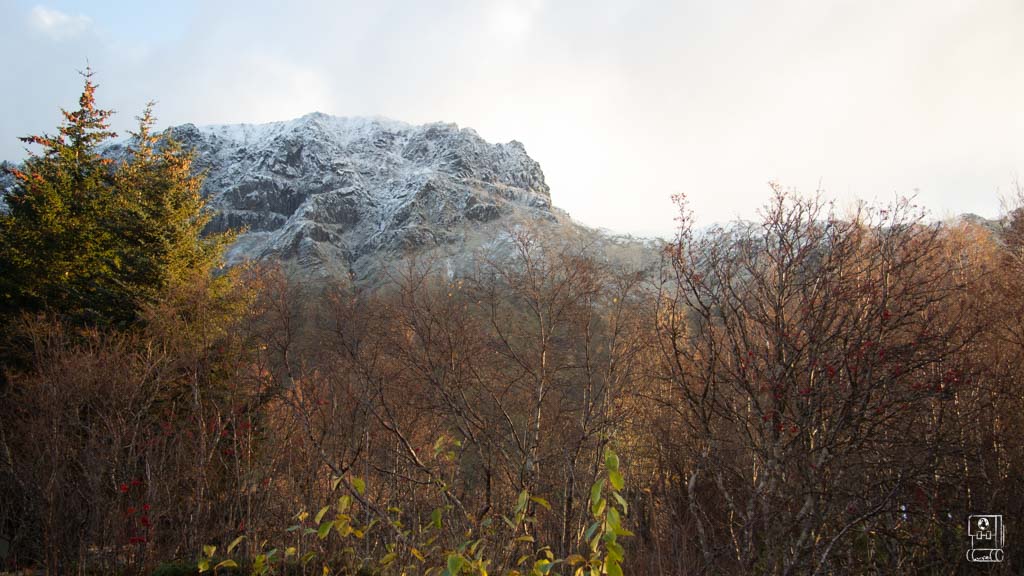 Best Time to Visit the Lofoten Islands•A Local’s Guide to Every Season