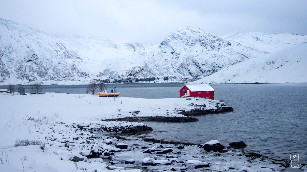 Best Time to Visit the Lofoten Islands•A Local’s Guide to Every Season